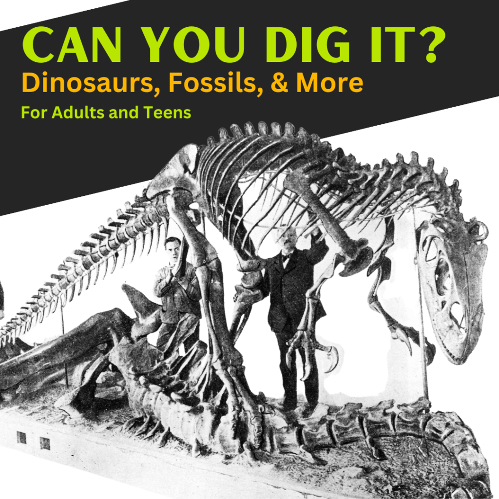 Can You Dig It? Dinosaurs, Fossils, & More – Andover Public Library