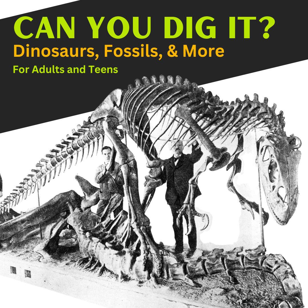 Can You Dig It? Dinosaurs, Fossils, & More – Andover Public Library